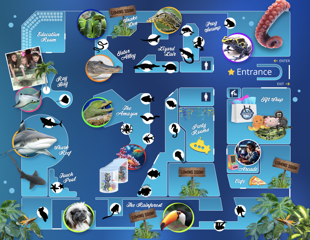 map – Daytona Aquarium And RainForest Adventure