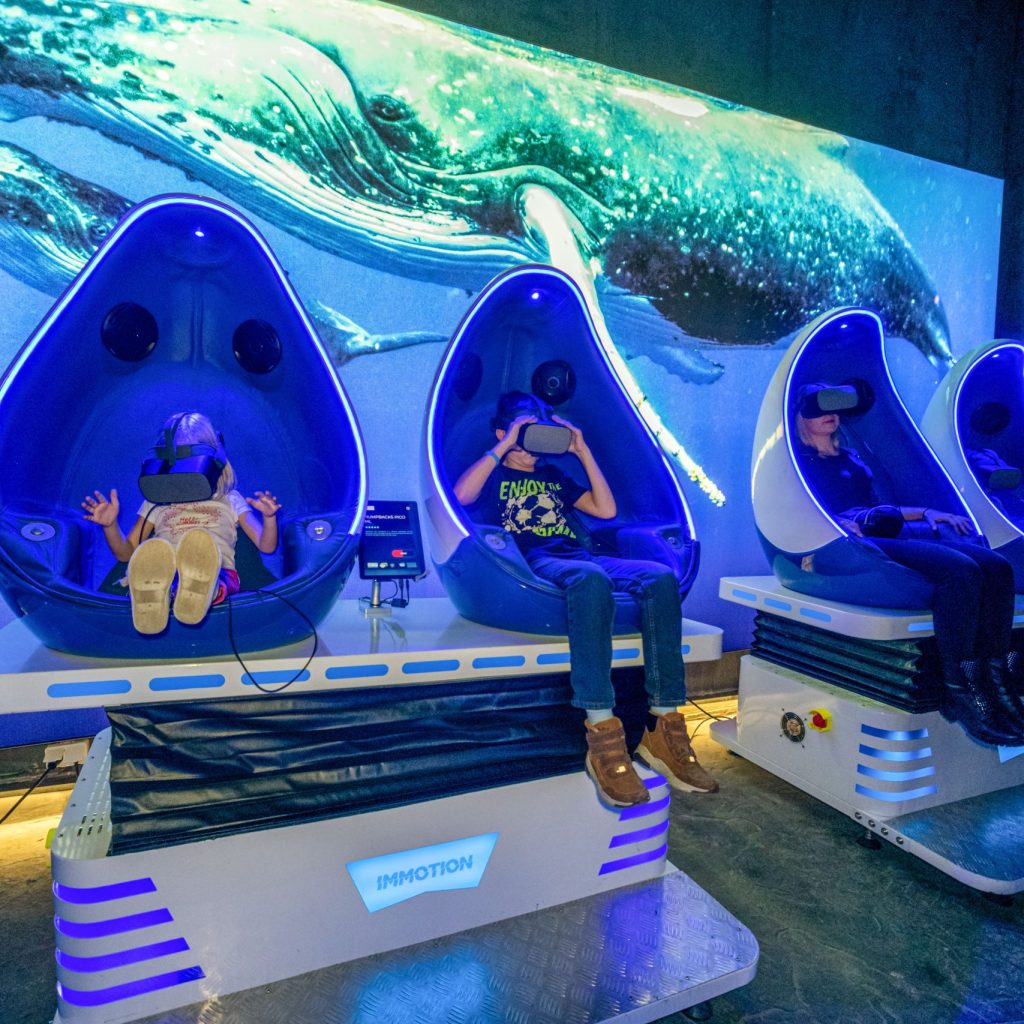 map – Daytona Aquarium And RainForest Adventure